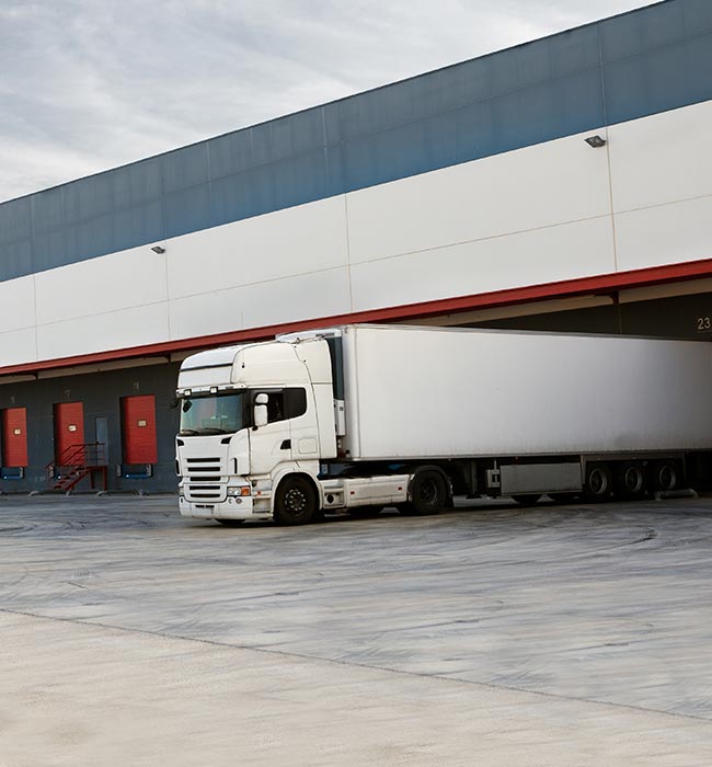 Diverse Set of Trucks | Fleet | Masterfreight Express